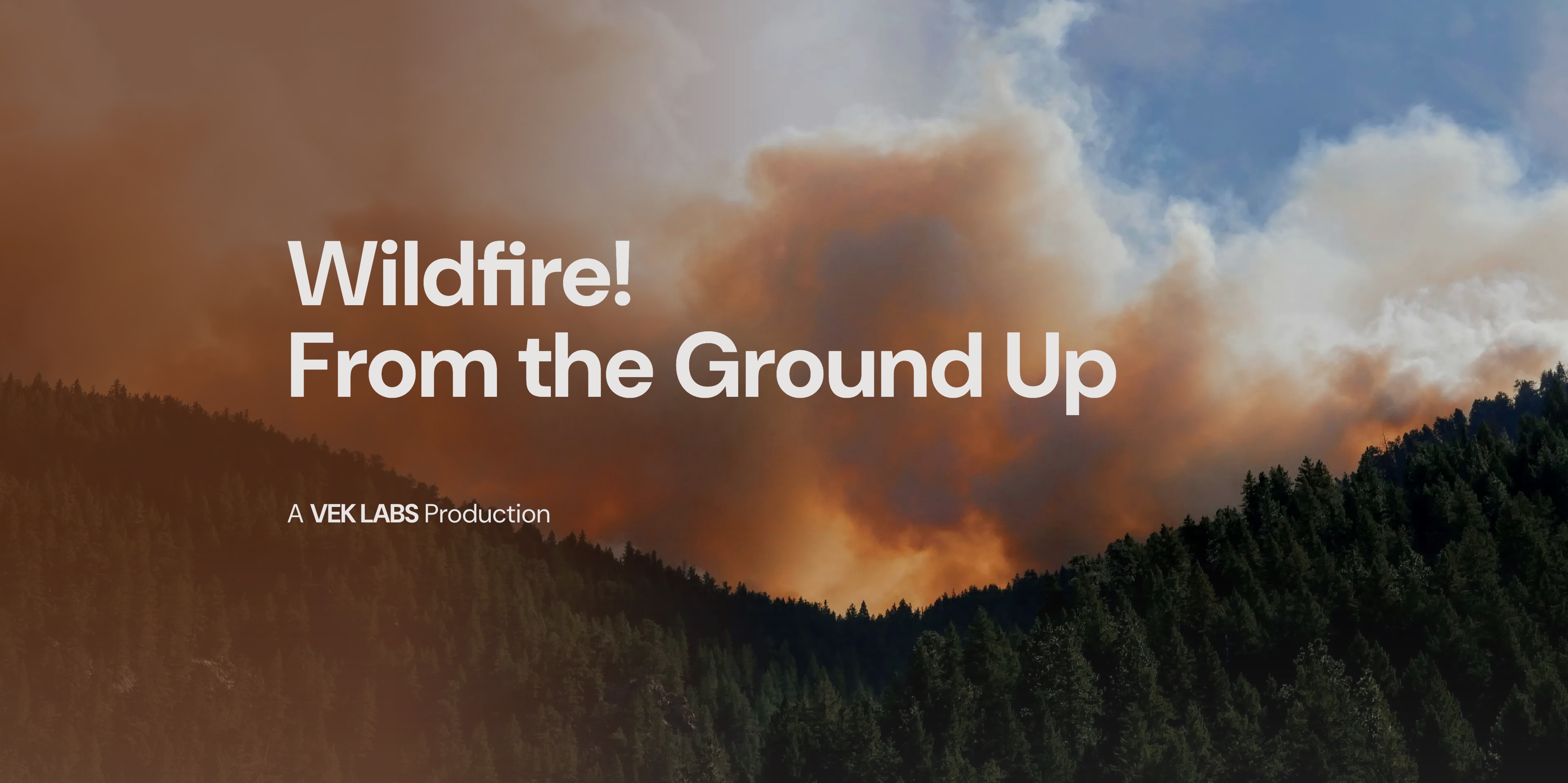 Wildfire! From The Ground Up